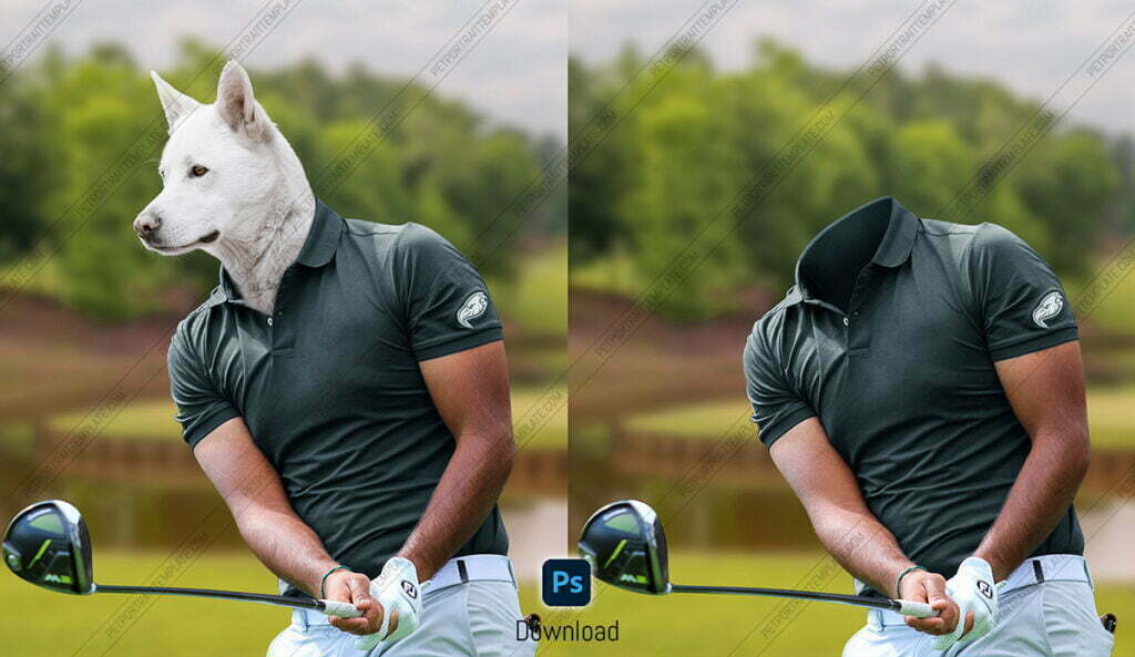 Pet Portrait Template Luxury Dog Playing Golf Siberian Husky - PSD File ...